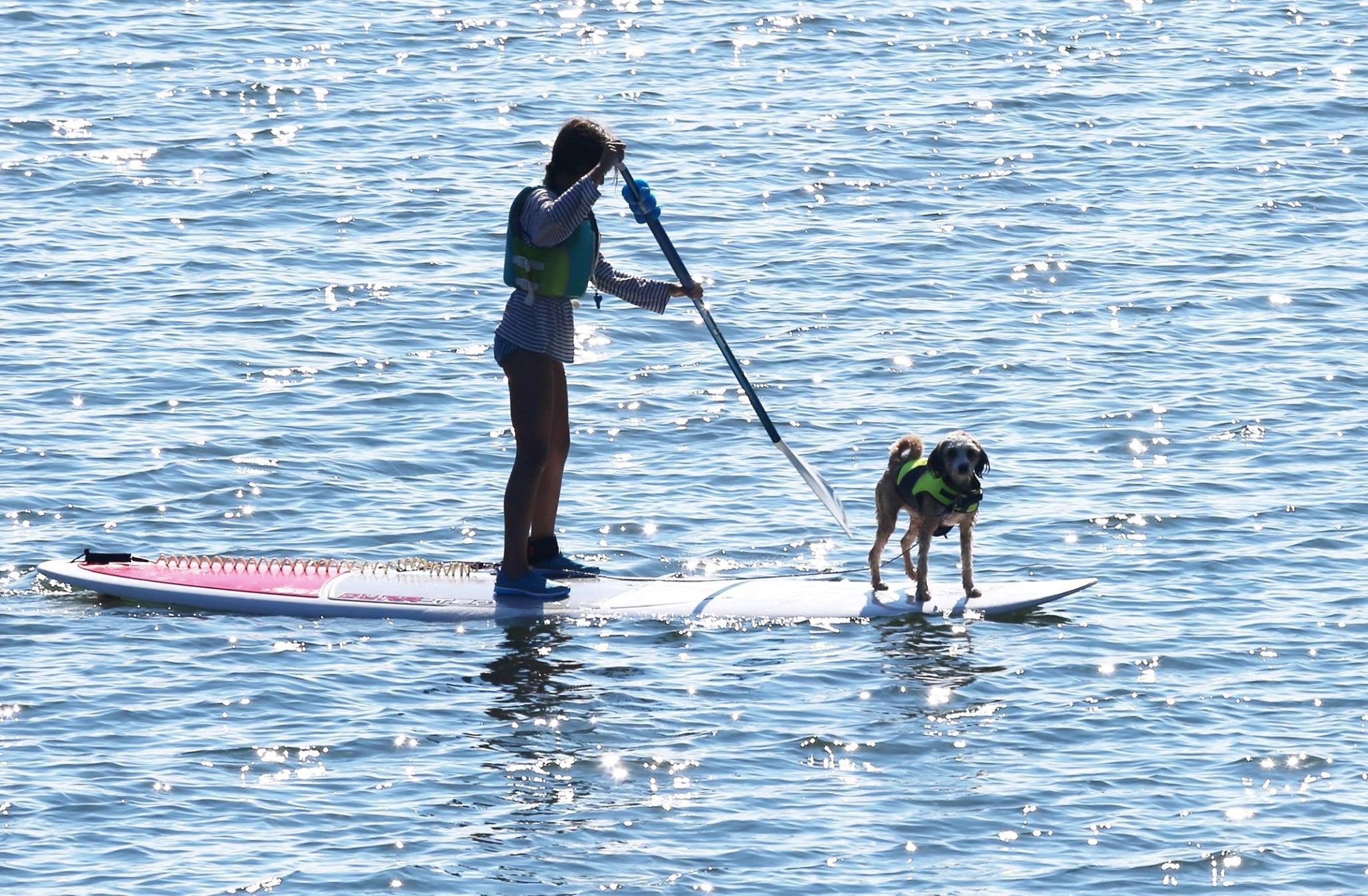 2024 Season Paddle Pass | LONGSHORE SAILING SCHOOL